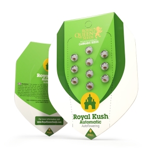 Buy Royal Kush Auto Cannabis Seeds Today - Royal Queen Seeds USA