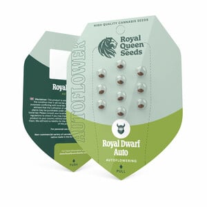 Buy Royal Dwarf Cannabis Seeds - Royal Queen Seeds