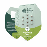 Buy Royal Dwarf Cannabis Seeds - Royal Queen Seeds USA