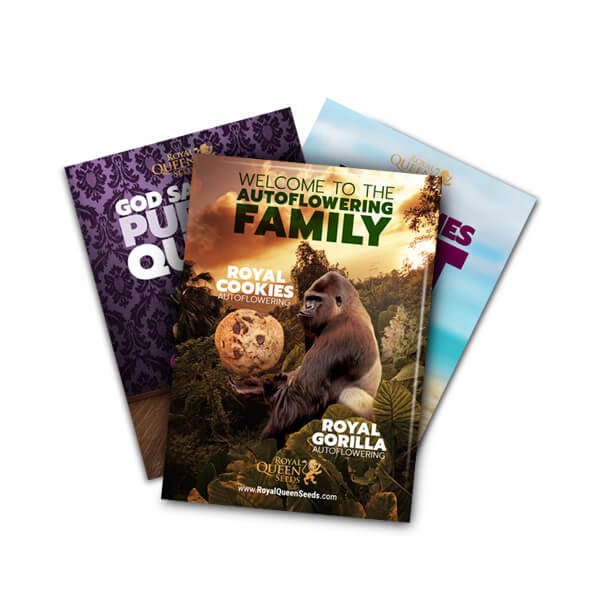 Free cannabis Stickers with every order above €25 - Royal Queen Seeds USA