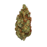 Buy Green Gelato feminized cannabis seeds 🍦 - Royal Queen Seeds USA