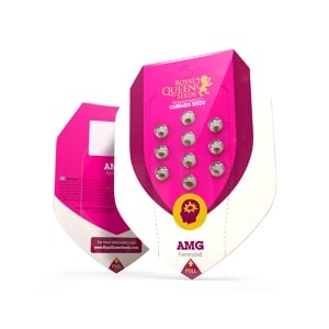 Buy AMG Feminized Marijuana Seeds - Royal Queen Seeds USA