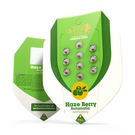 Buy Haze Berry Auto Cannabis Seeds - Royal Queen Seeds USA