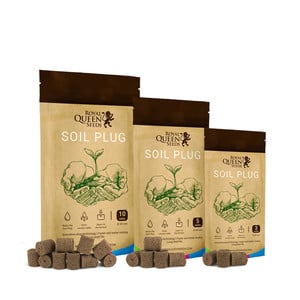 Soil Plugs - Royal Queen Seeds
