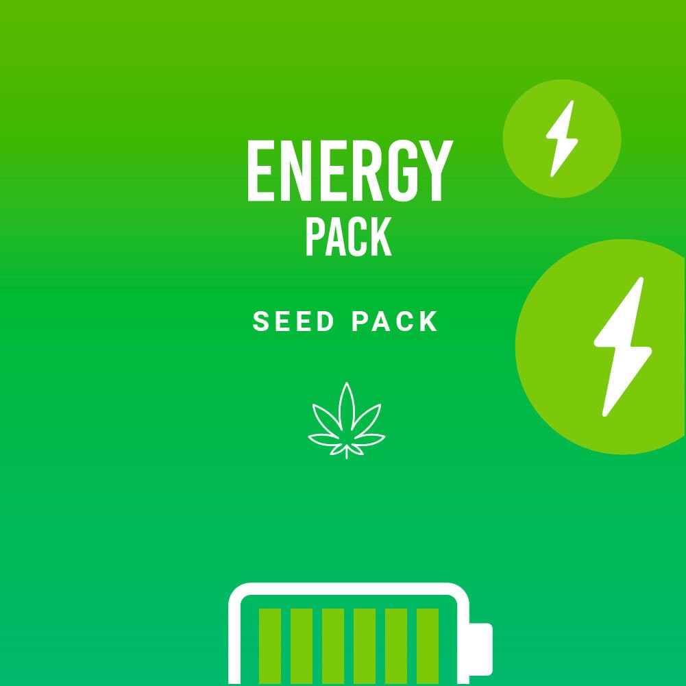 The Energy Pack Cannabis Seeds - Royal Queen Seeds