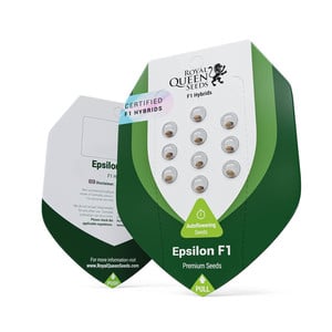 Buy Epsilon F1 Hybrid cannabis seeds - UK