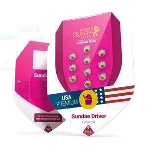 Get Sundae Driver Feminized Cannabis Seeds - Royal Queen Seeds USA