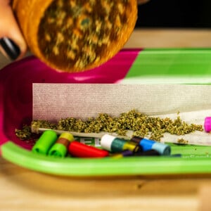 Reusable Joint Filters by Royal Queen Seeds - 10 Pack - Royal Queen ...