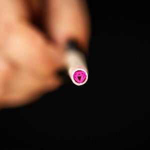 Reusable Joint Filters by Royal Queen Seeds - 10 Pack - Royal Queen ...