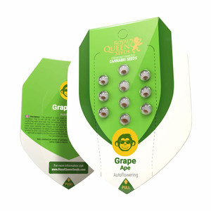 Get Grape Ape Auto Marijuana Seeds - Royal Queen Seeds USA