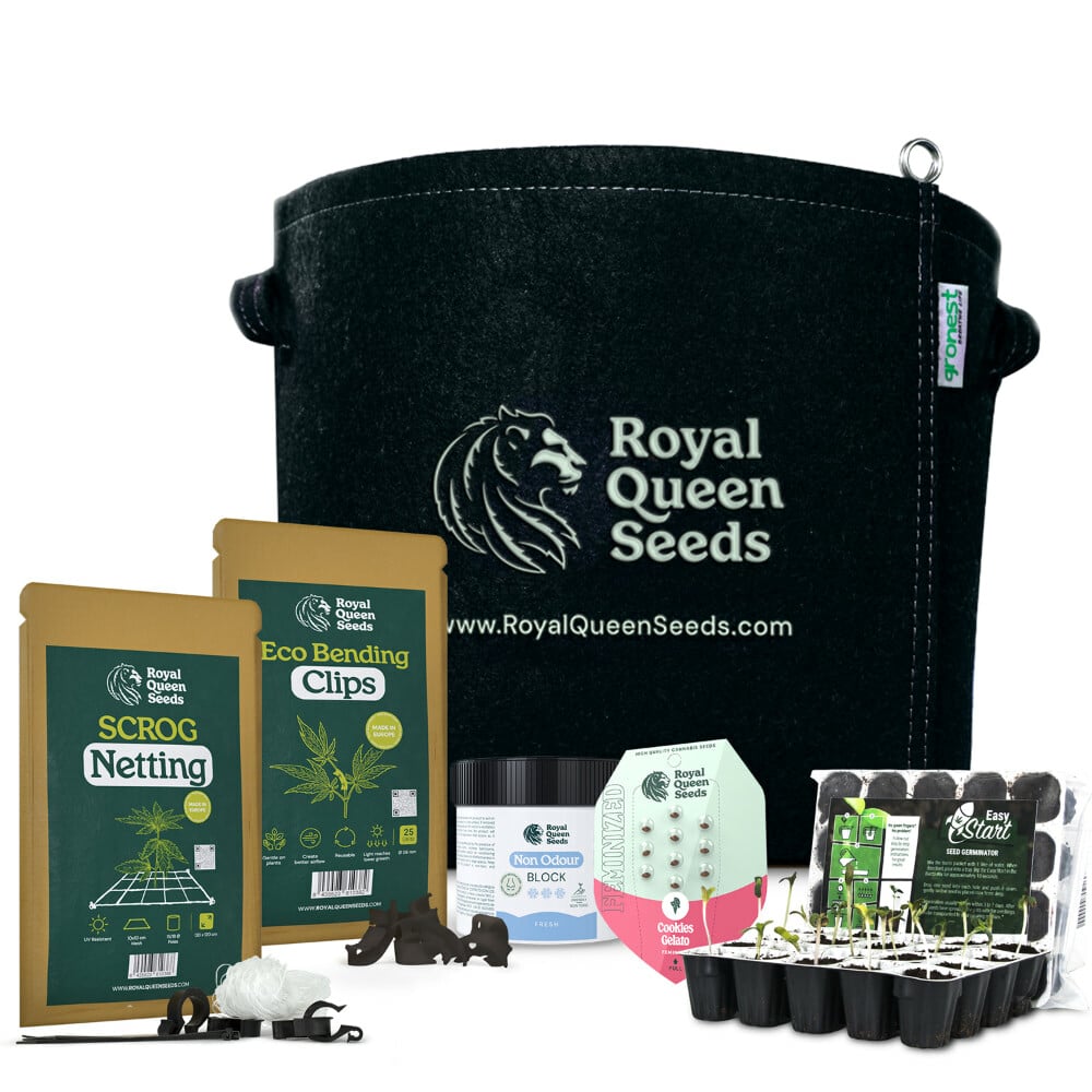 Indoor Cannabis Grow Kit | Royal Queen Seeds - Royal Queen Seeds