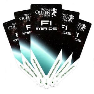 Buy Cannabis Plant Labels for Easy Strain Tagging - Royal Queen Seeds