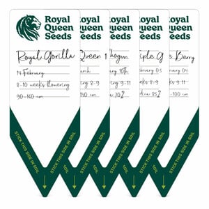 Buy Cannabis Plant Labels for Easy Strain Tagging - Royal Queen Seeds