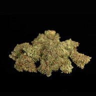 Buy Gaia F1 Hybrid Cannabis Seeds - USA