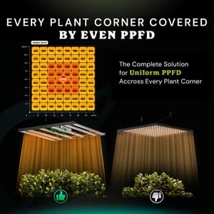 Buy Mars Hydro FC4800 – 480W LED Grow Light - Royal Queen Seeds