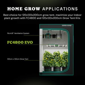 Buy Mars Hydro FC4800 – 480W LED Grow Light - Royal Queen Seeds