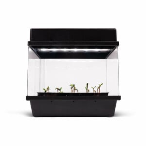Buy The F1 Hybrid Seed Starter Kit | True F1 Seeds