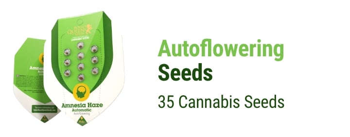 Buy Autoflowering & Feminized Cannabis Seeds. Royal Queen Seeds