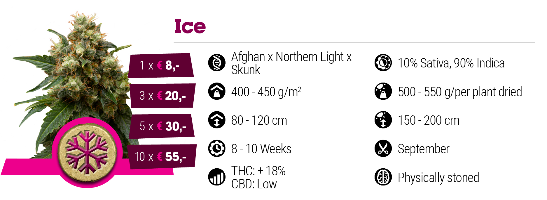 Top 10 Cannabis Indica strains