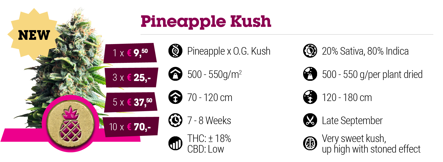 Top 10 Cannabis Indica strains