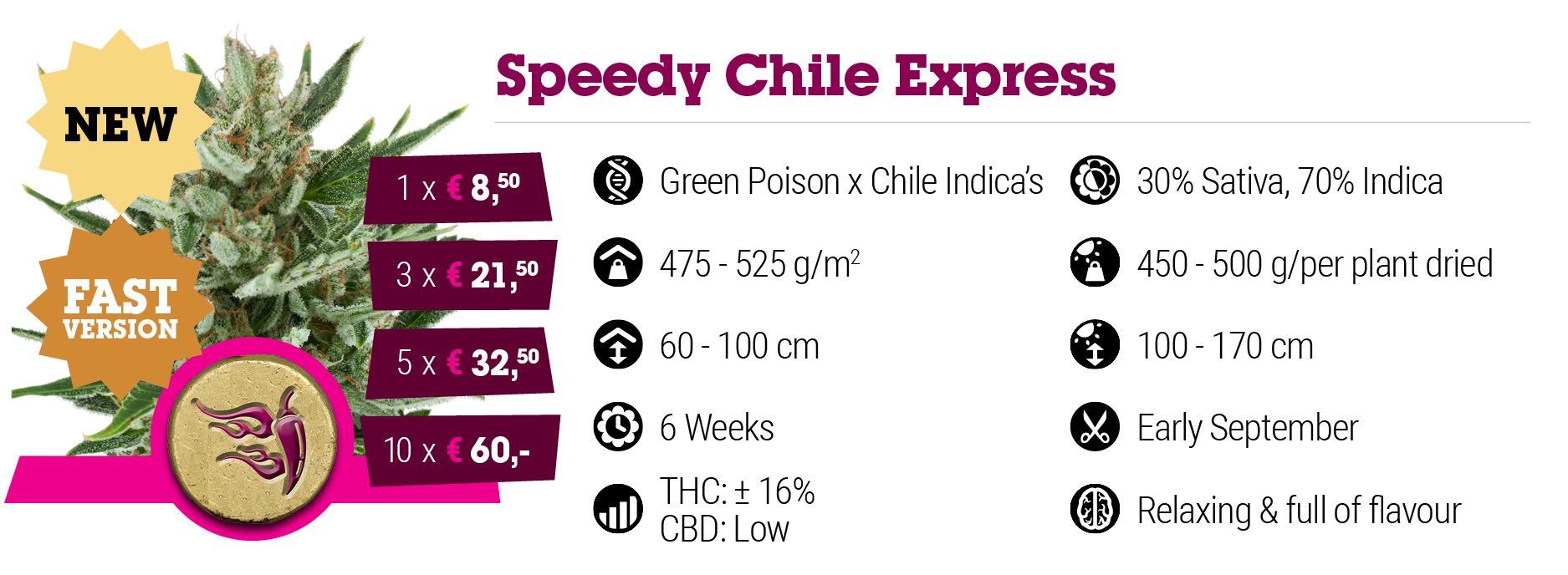 Top 10 Cannabis Indica strains