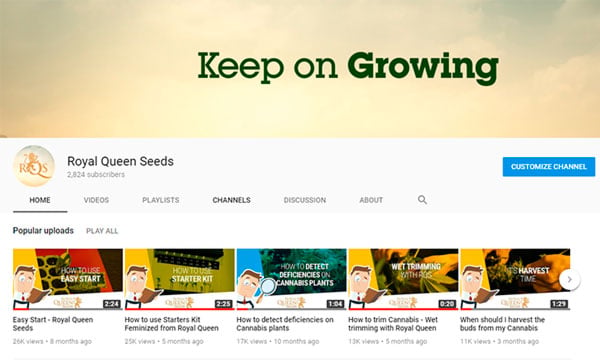 Vimeo - Royal Queen Seeds