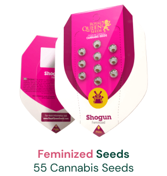 Buy Autoflowering & Feminized Cannabis Seeds. Royal Queen Seeds UK