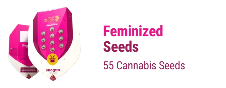Buy Autoflowering & Feminized Cannabis Seeds. Royal Queen Seeds