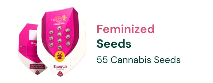 Buy Autoflowering & Feminized Marijuana Seeds. Royal Queen Seeds USA