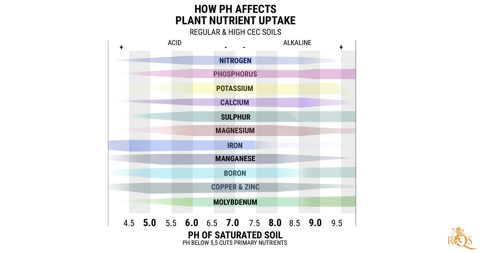 Understanding pH and How It Affects Cannabis Plants - RQS Blog