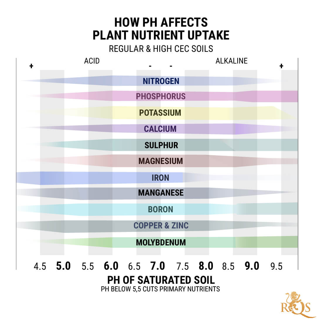 Understanding pH and How It Affects Cannabis Plants - RQS Blog
