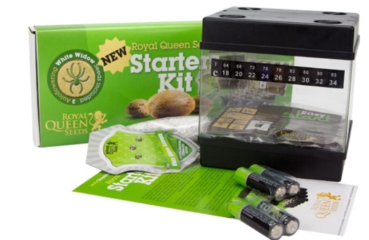 Cannabis See Germination Troubleshooting Guide - RQS Blog