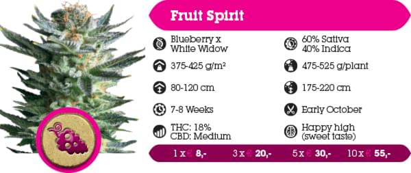 Top 10 Best Sativa Cannabis