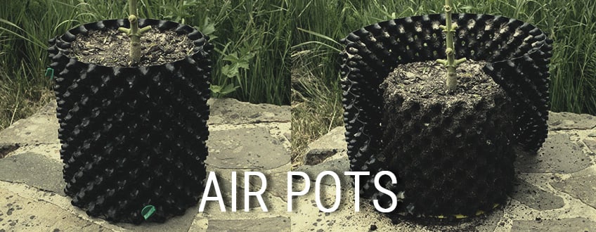 Can Air-Pots And Smart Pots Increase Cannabis Yield? - RQS Blog