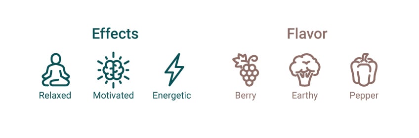 Blue Dream: Genetics, Effects, and Growing Traits - RQS Blog