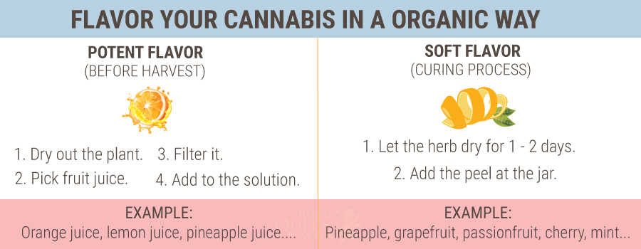 How To Add Flavour To Your Cannabis Before, During, And After Harvest ...