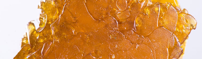 The Cannabis Plant Anatomy - Royal Queen Seeds