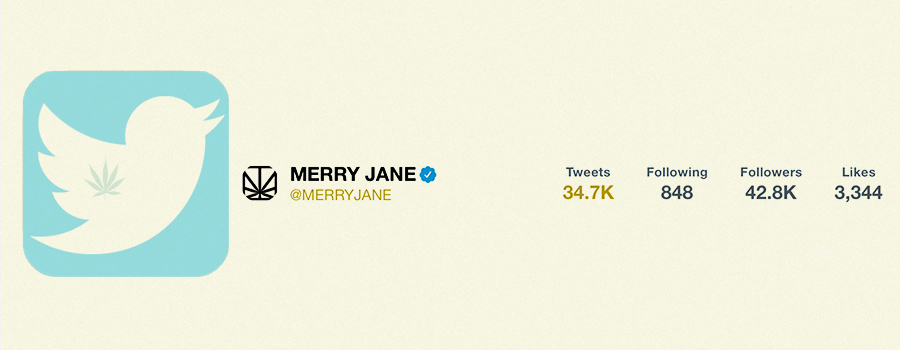 10 Cannabis Twitter Accounts You Need To Follow - RQS Blog