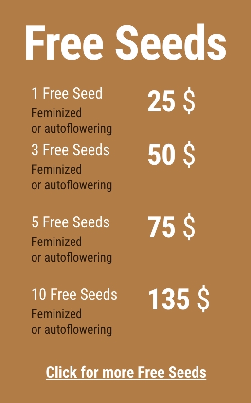 9 Myths Surrounding Autoflowering Strains - Royal Queen Seeds USA