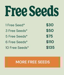 Buy Autoflowering & Feminized Marijuana Seeds. Royal Queen Seeds USA