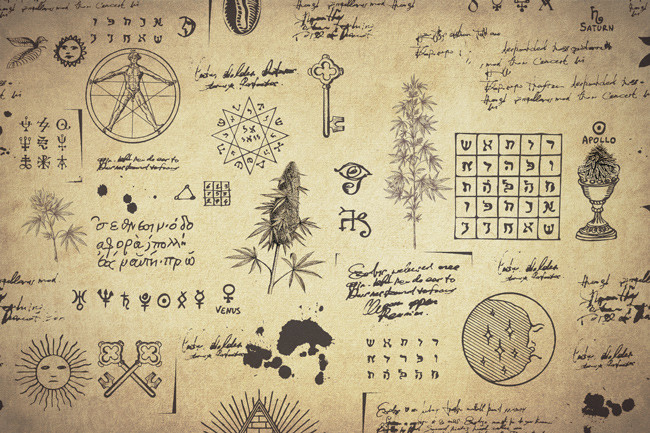 8 Common Myths About Growing Weed, Debunked - RQS Blog