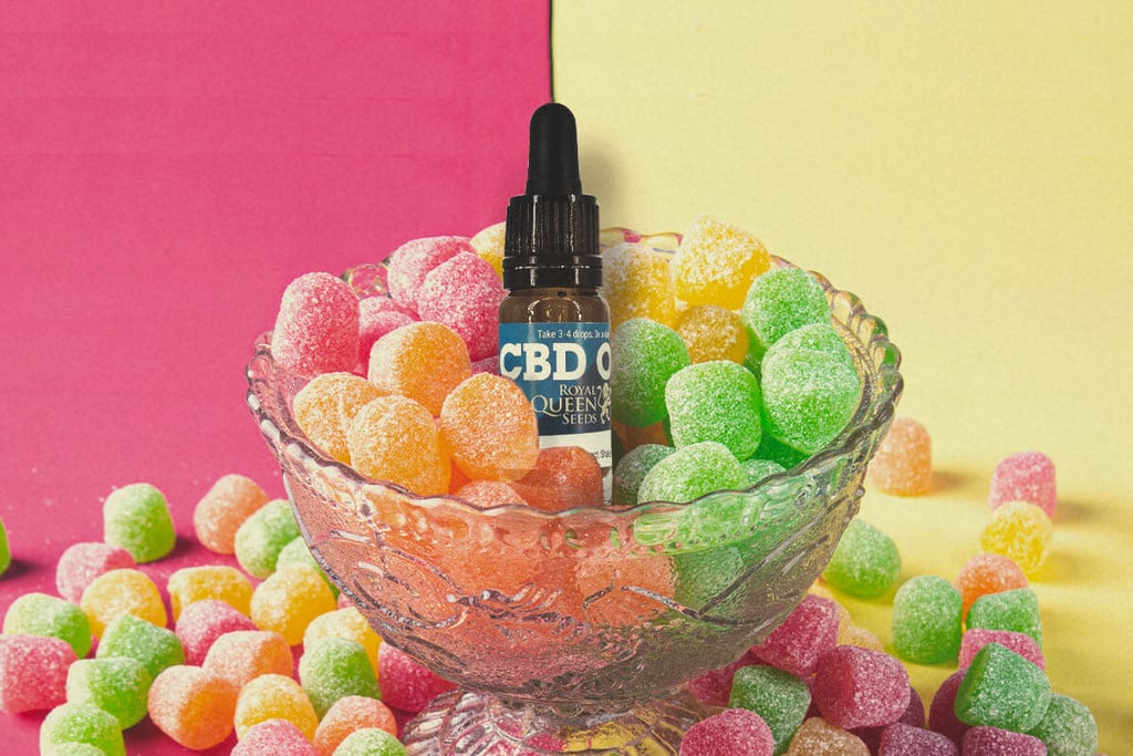CBD Gummies: Everything You Need To Know - RQS Blog