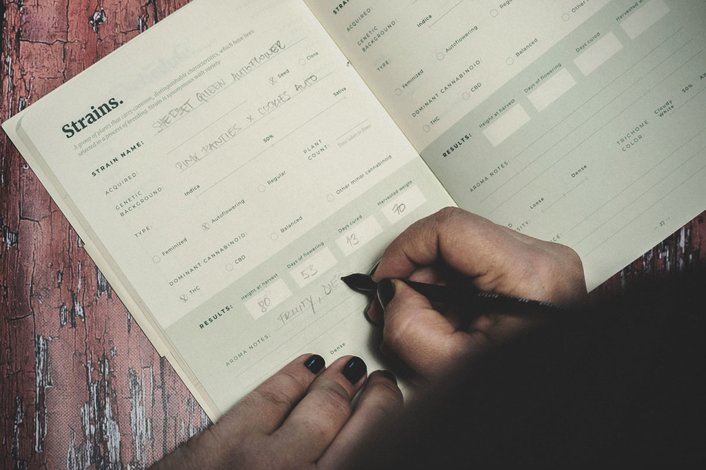 How To Keep a Cannabis Journal: For Growers and Consumers - RQS Blog