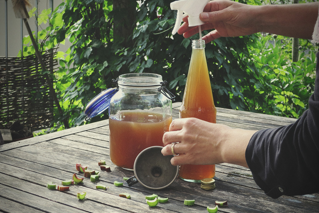 How to Use Korean Natural Farming (KNF) to Grow Cannabis - RQS Blog