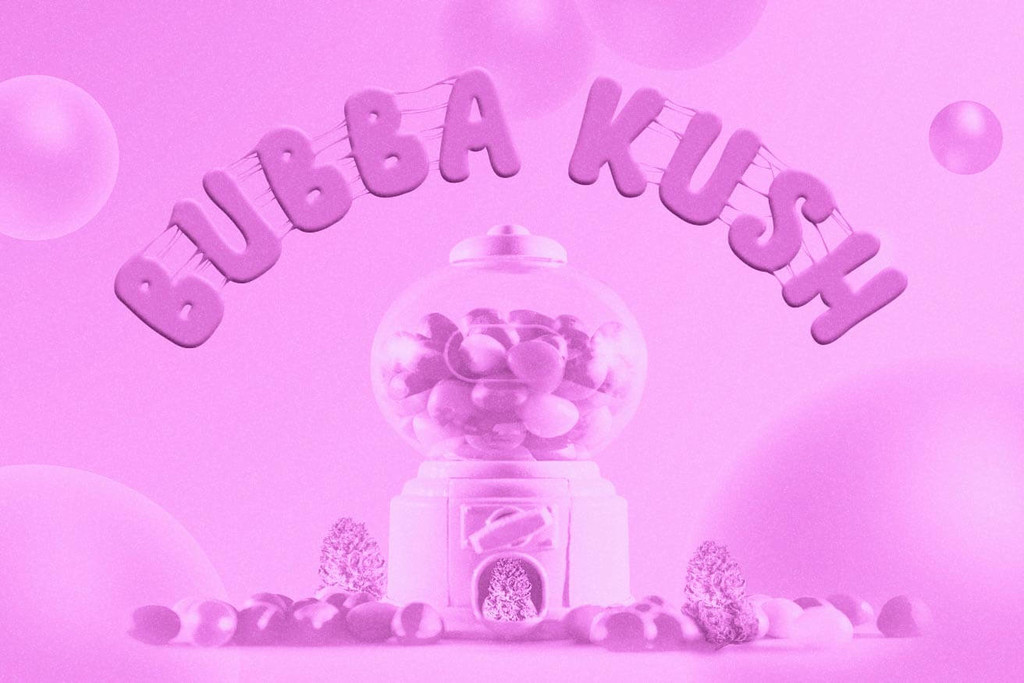 Bubba Kush: A Legendary Indica Hybrid - RQS Blog