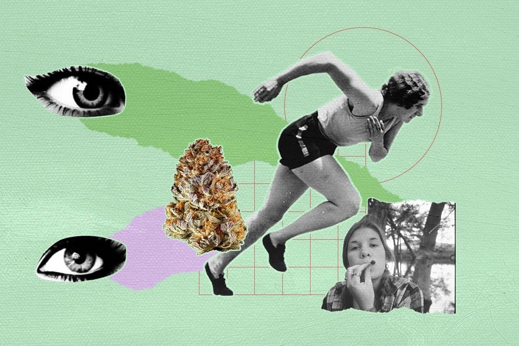 Is It Possible To Identify A Strain Of Cannabis By Sight? - RQS Blog