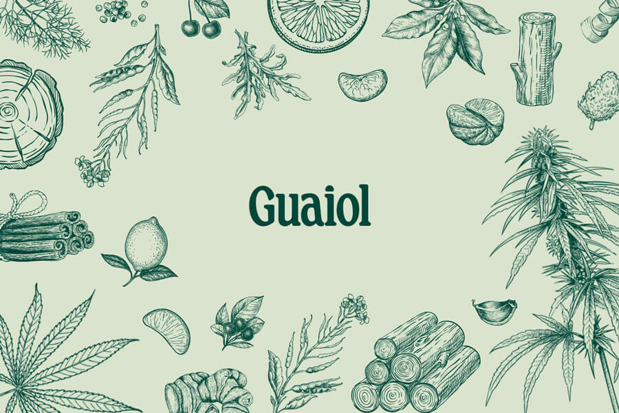 Get to Know Guaiol: A Lesser-Known Cannabis Terpene - RQS Blog