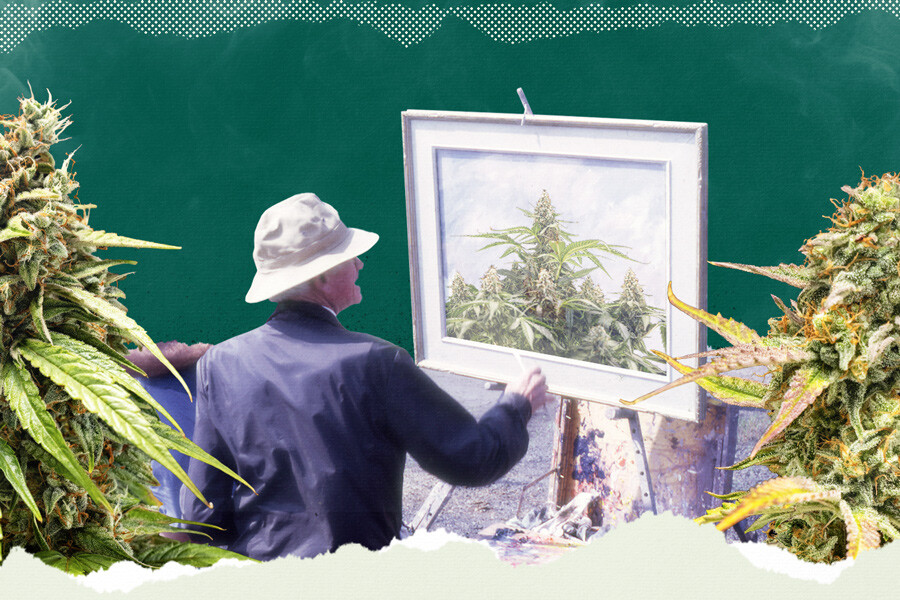 Discover 5 Weed-Inspired Artists You Need to Follow - RQS Blog