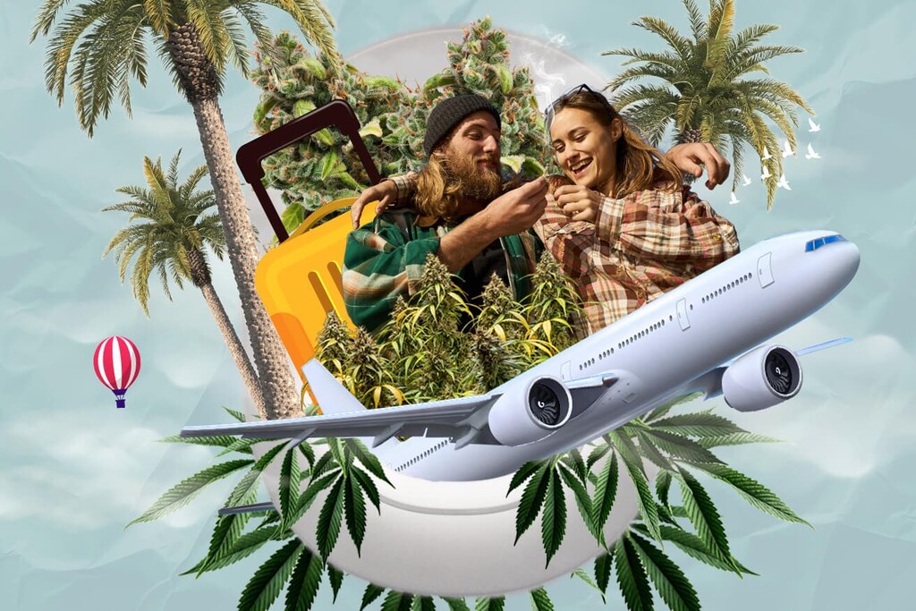 Discover the Best Weed-Friendly Countries to Visit - RQS Blog