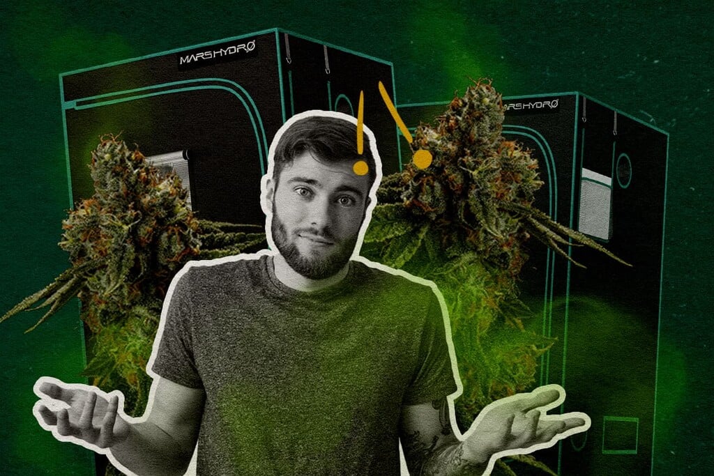 Explore Whether Cannabis Grow Tents Are Smell Proof - RQS Blog